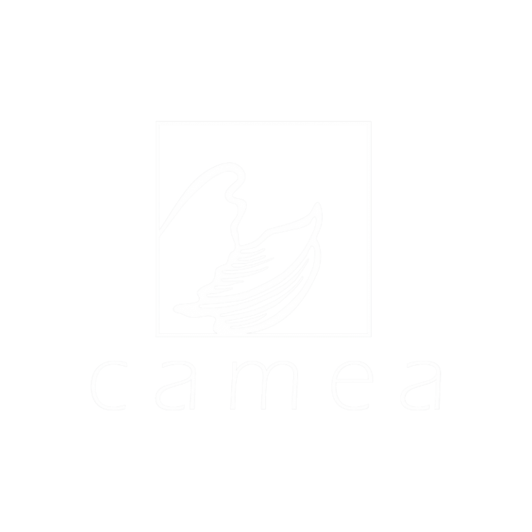 Kontakt - Camea Instytut Urody